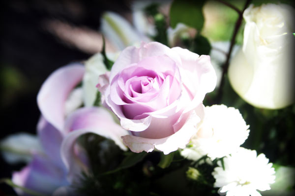 Platinum Events - Events and Gallery